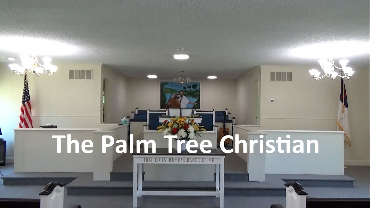 2020-07-19 (The Palm Tree Christian) - YouTube