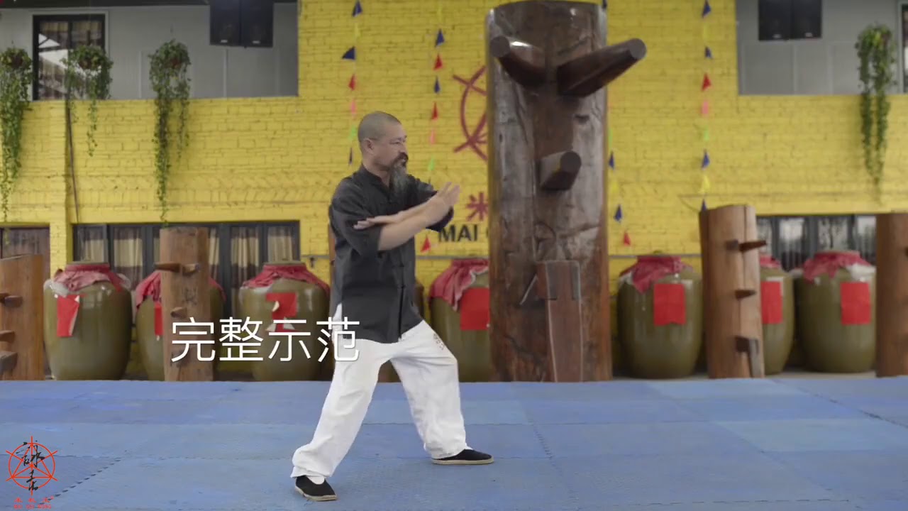 8 mgw pok yik cheung 8 米机王咏春拳系列课程｜扑翼掌 - YouTube