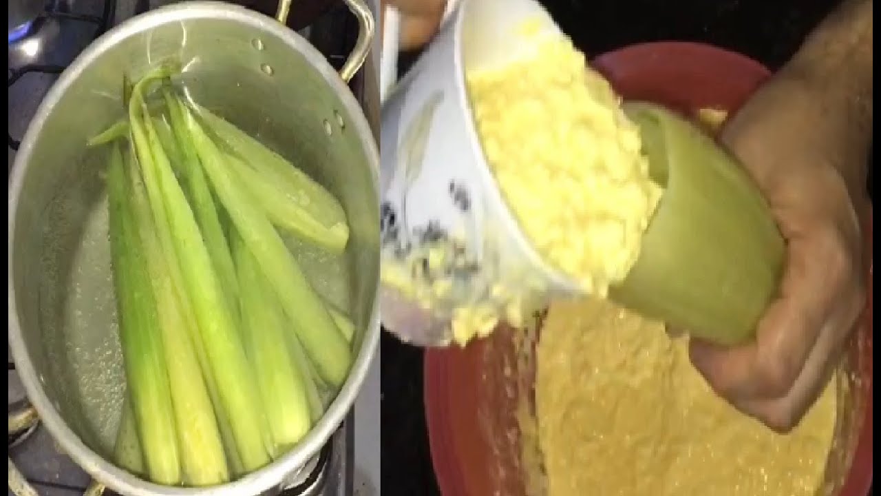 COMO FAZER PAMONHA DA ROÇA DE UM JEITO FÁCIL NA SUA CASA|A MELHOR ...