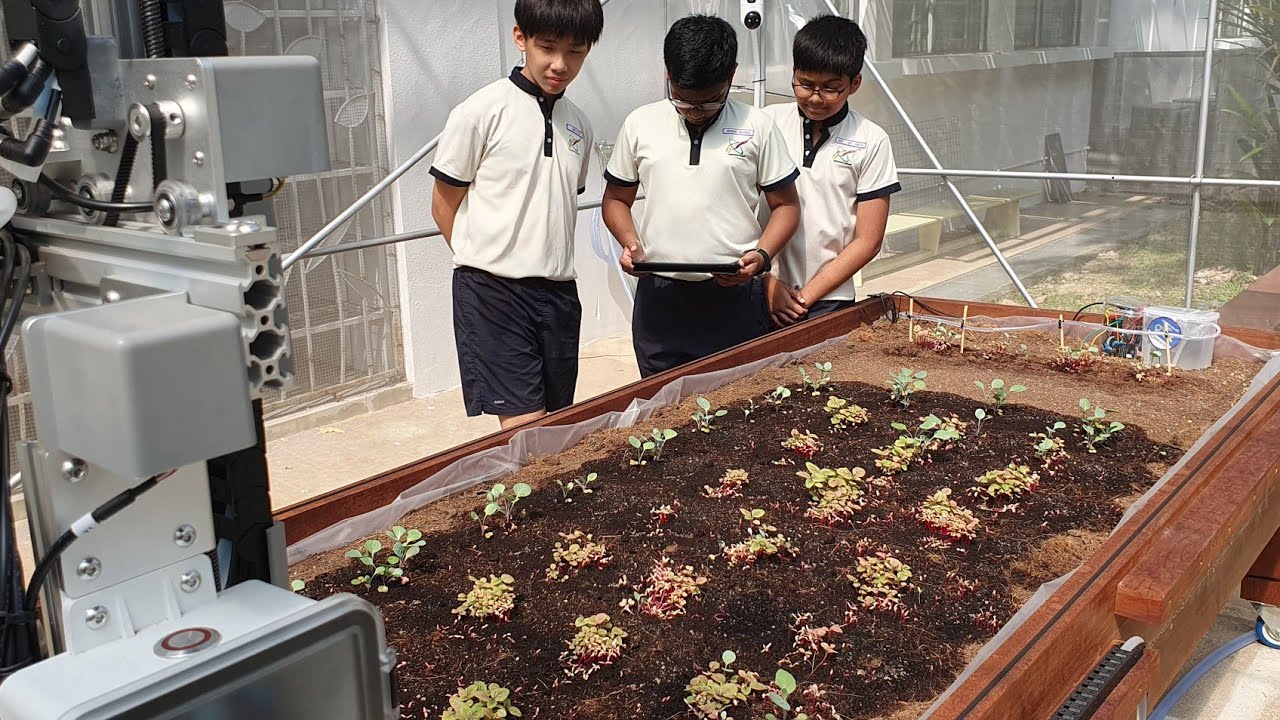 Tithonus: Real-Time Smart Pest Monitoring Detection System for Urban ...