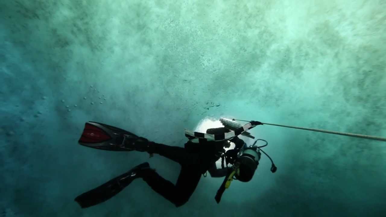 Volcano Sponge (Anoxycalyx joubini) sample collection @ Dayton's Wall ...