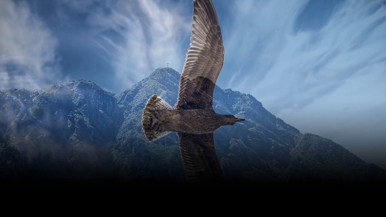 Father Ramon Palomera - A Heartfelt Message For Us - YouTube