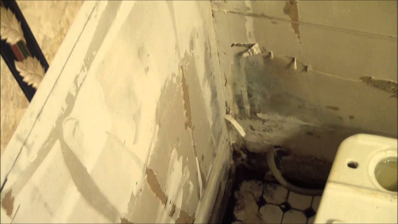 Mr Dry Out pipe burst in wall clean up water damage New Port Richey FL ...