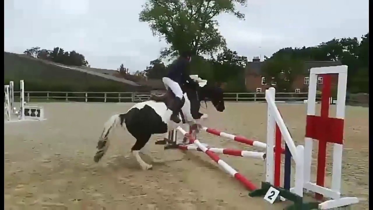 Brampton equestrian center unaffiliated showjumping - YouTube