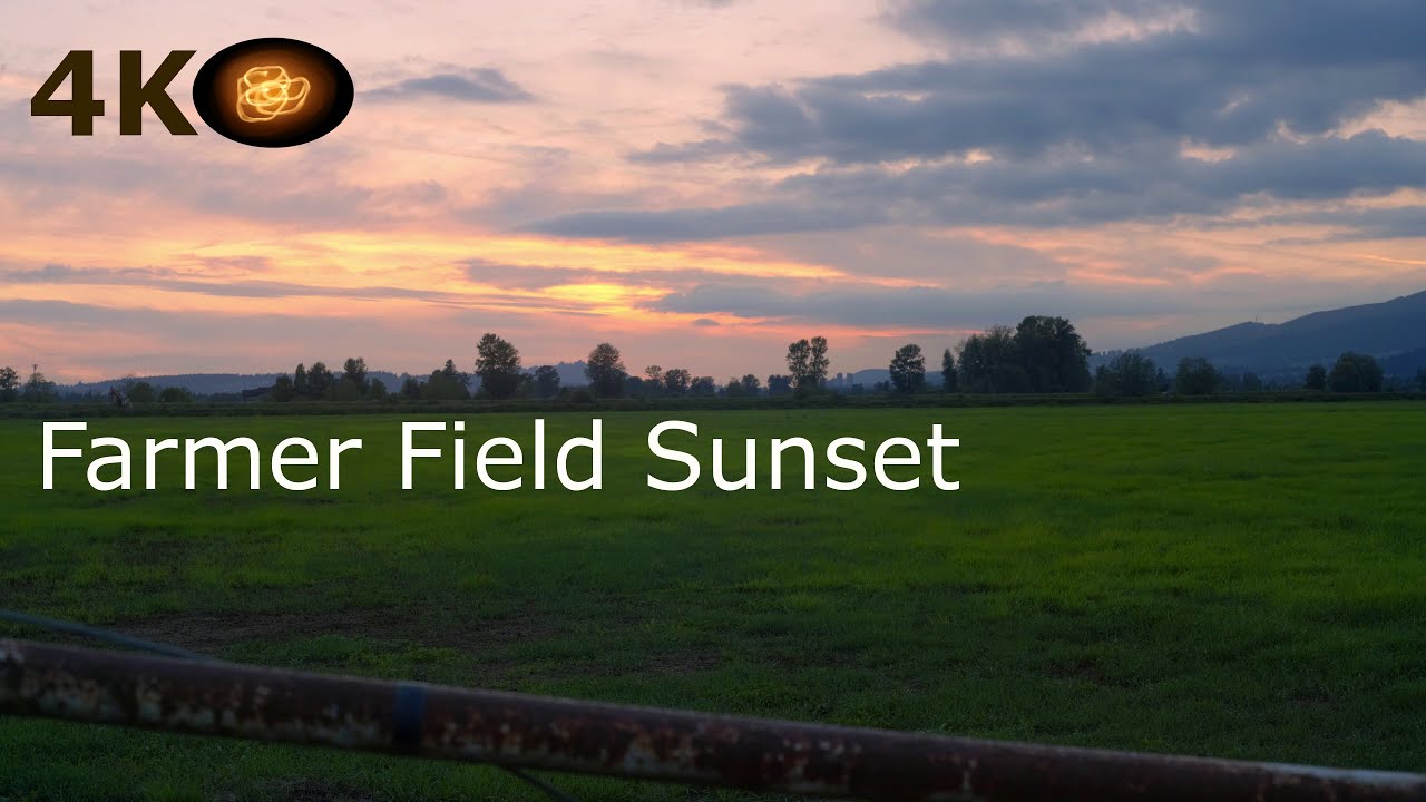 4K Farmer Field Sunset - YouTube