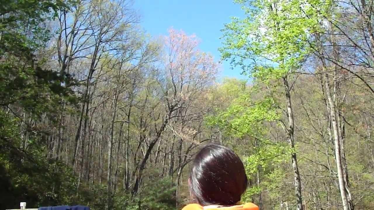 Ober Gatlinburg, Tennessee, Alpine Slide Down Mountain, April 2012 ...