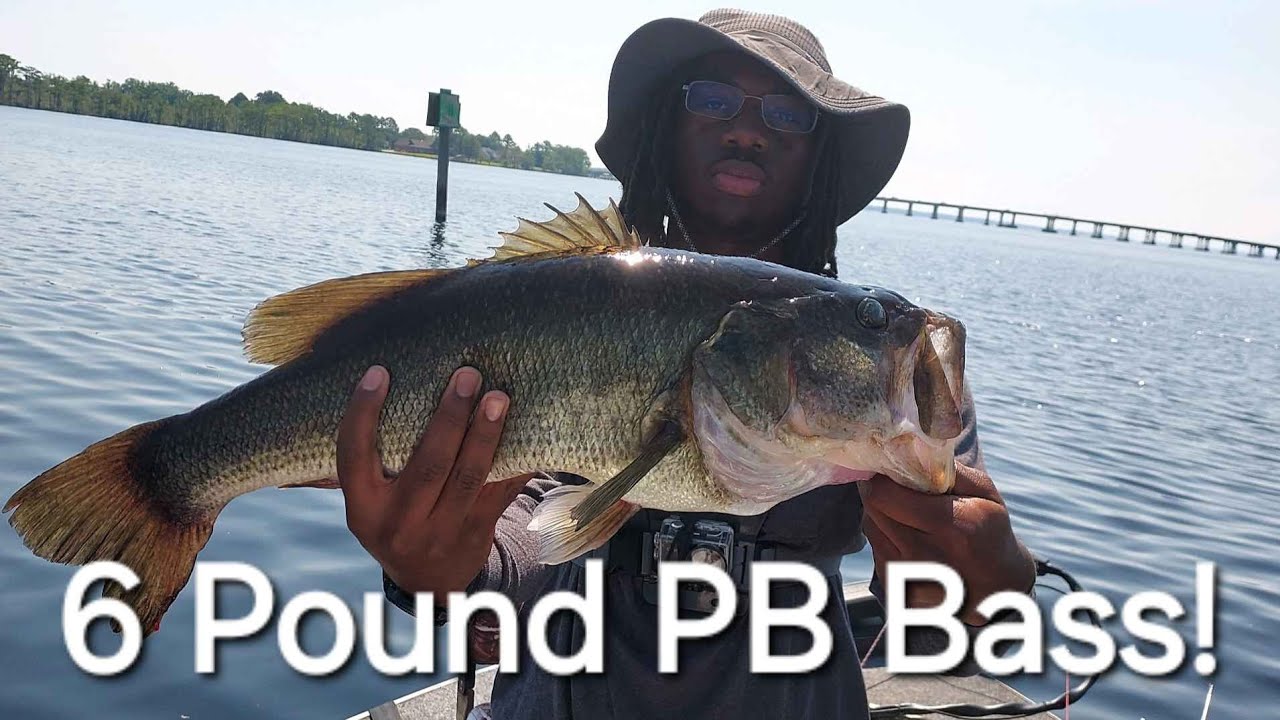 Catching my PB Bass While White Perch Fishing - YouTube