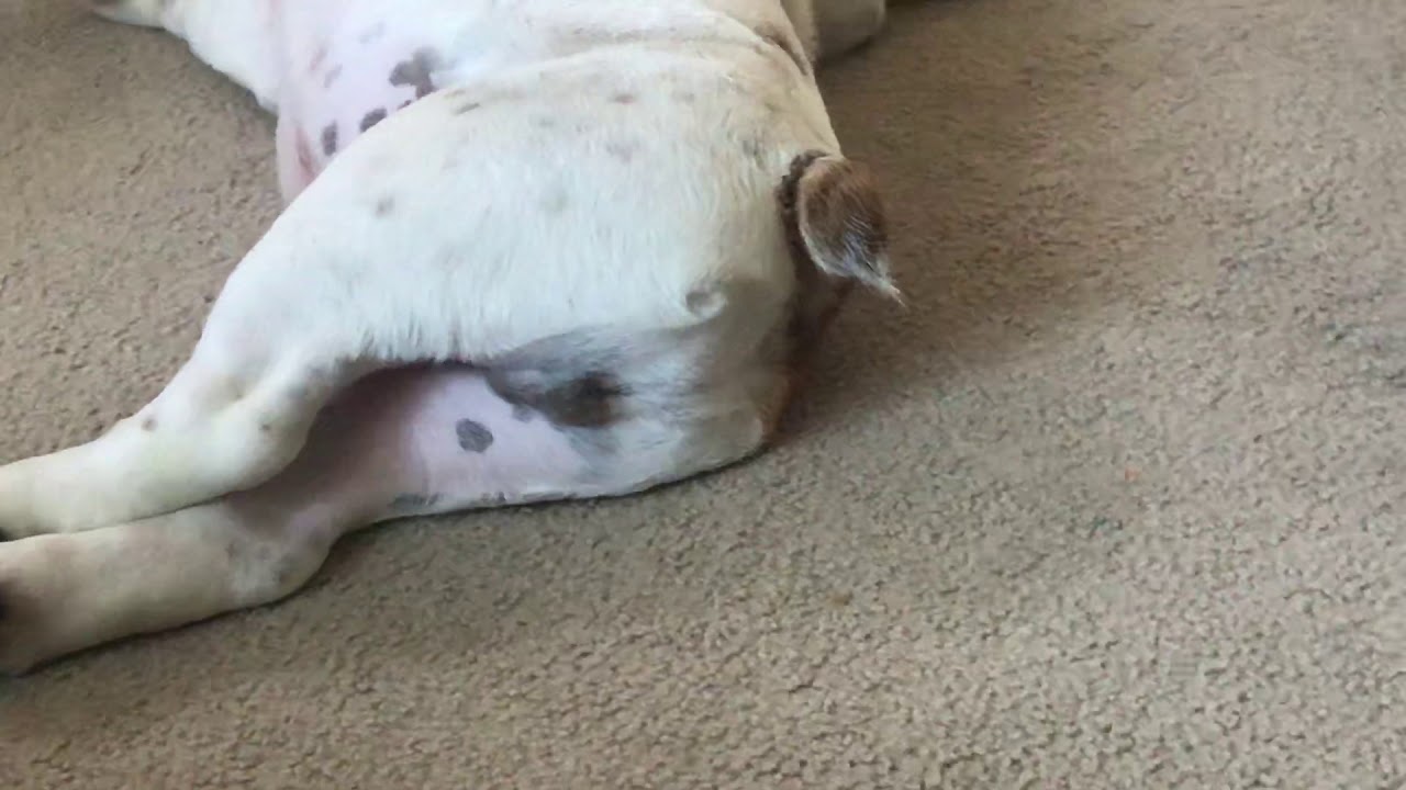 sleepy rock#2 - YouTube