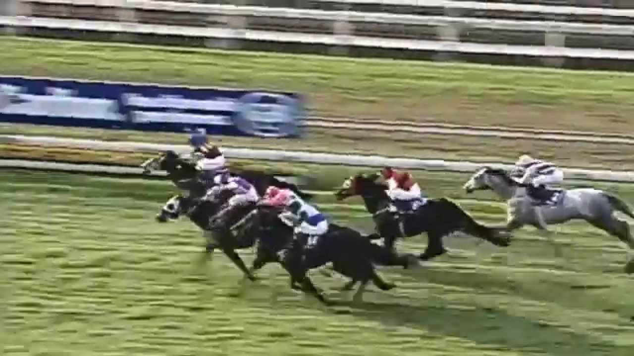 Flashback - 150 Years of Eagle Farm Racecourse Brisbane - YouTube