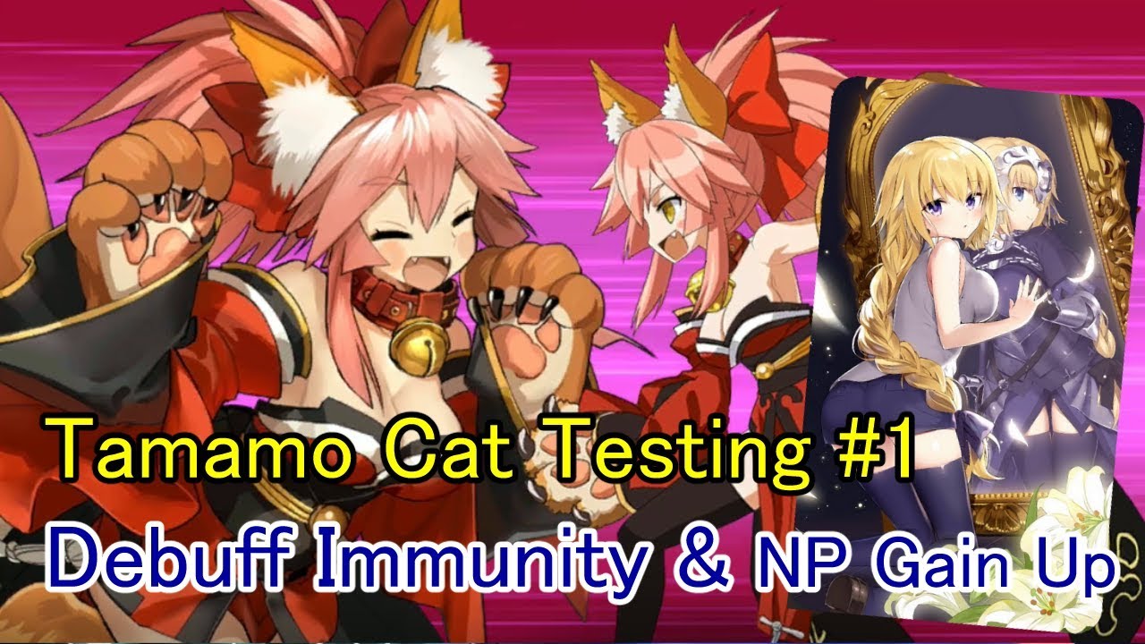 [FGO] Tamamo Cat Testing #1 Debuff Immunity & NP Gain Up - YouTube