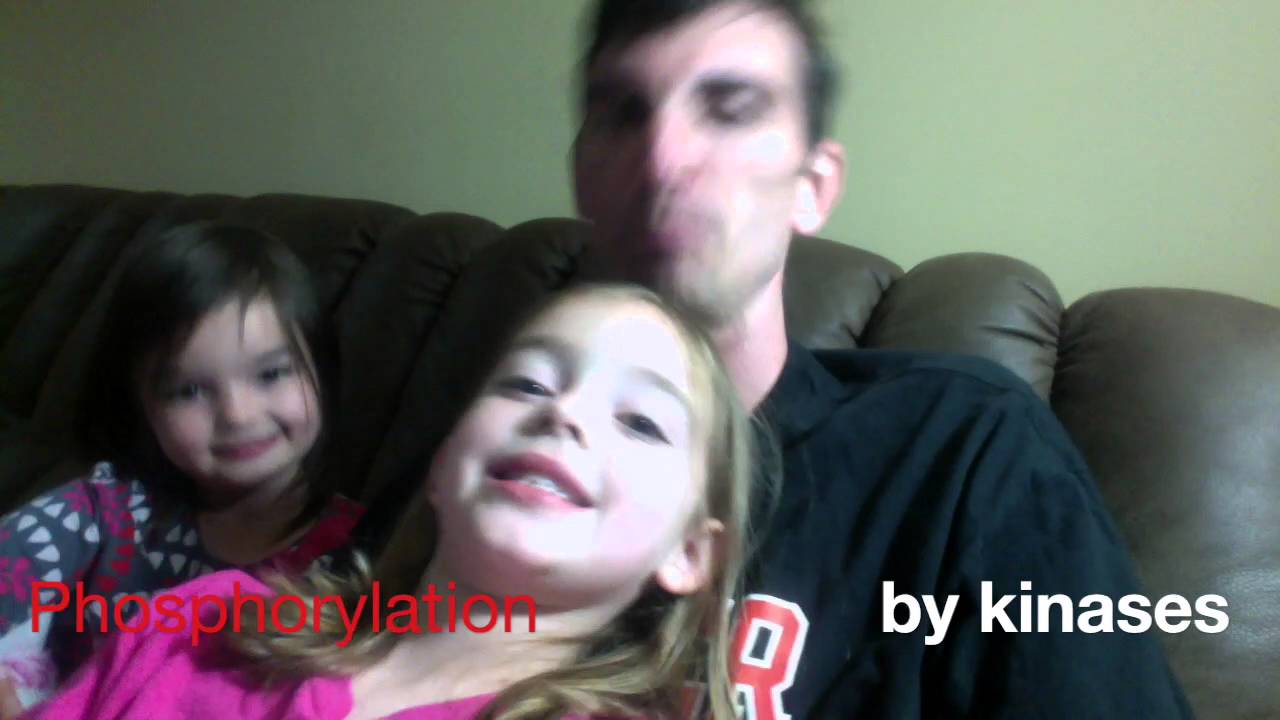 The Cell Communication Review Song YouTube the-cell-communication-review-song-youtube