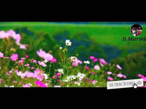 bagan baha saw inj fulog aa. santali ringtone video💞 #dashmath murmu