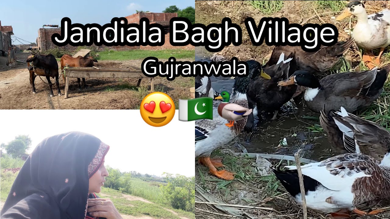 Visit To Jandiala Baghwala Village In Gujranwala 🇵🇰😍 | Samina Asif ...