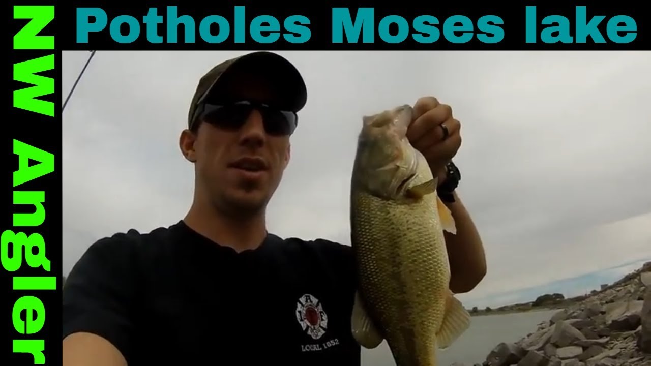 Largemouth Bass fishing the Potholes reservoir. - YouTube