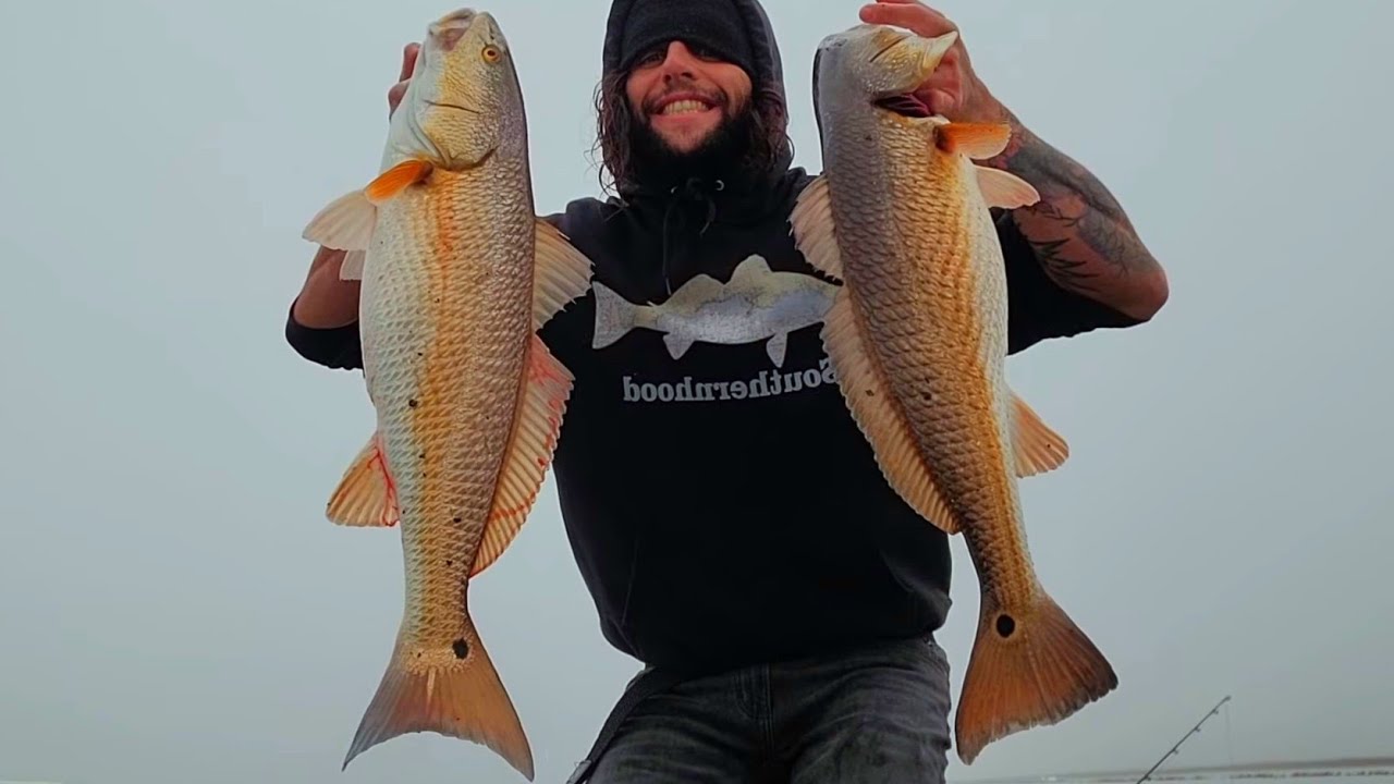 Amazing Redfish and blue catfish action on cut mullet! (Catching them ...