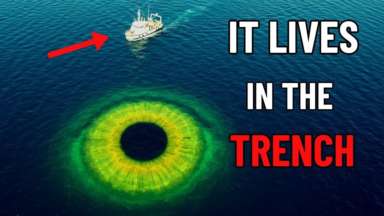 MASSIVE Sea Creature In Marianas Trench | Scary Story - YouTube