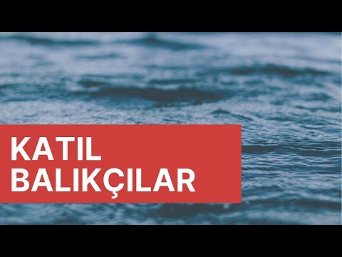 İbrice Tüneller Bölgesinde Katil balıkçıların vahşeti