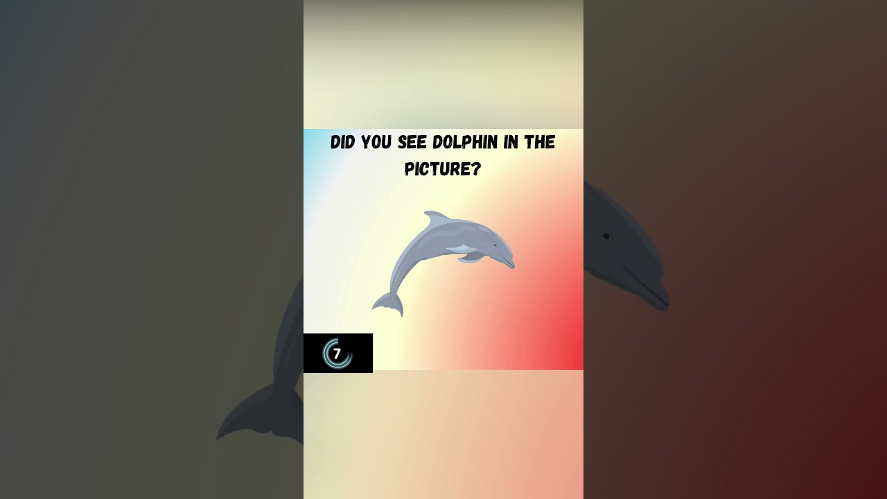 Attention Riddles 25 | Did you saw dolphin? | Riddles And Puzzle For IQ ...