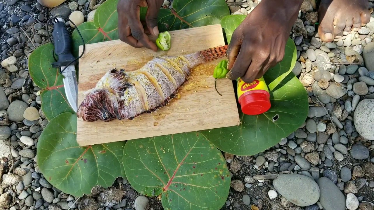 How I Catch N Cook lion fish WATCH THIS - YouTube
