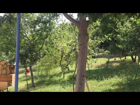 Göy qurşağı istirahət mərkəzi