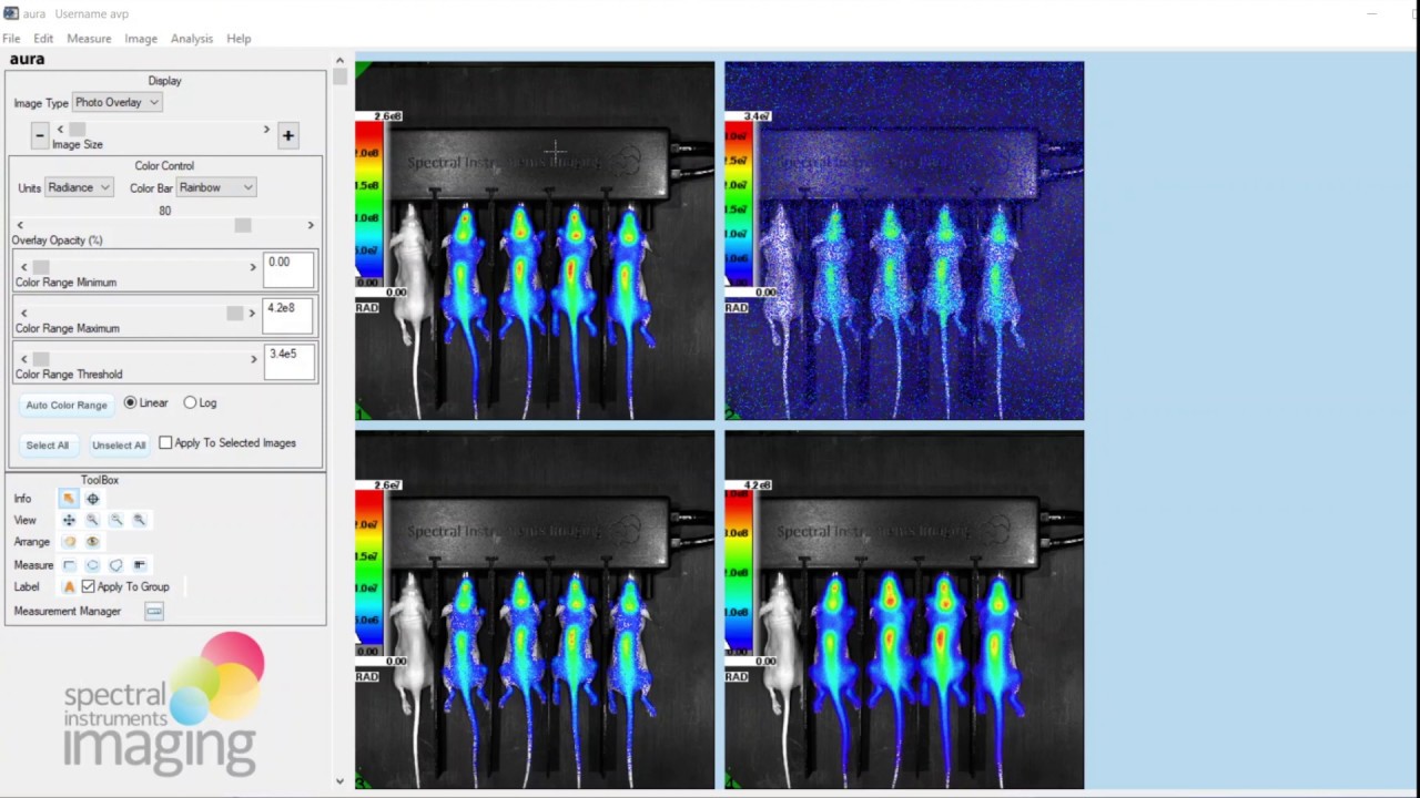 Aura Imaging Software: Analysis Tutorial - YouTube