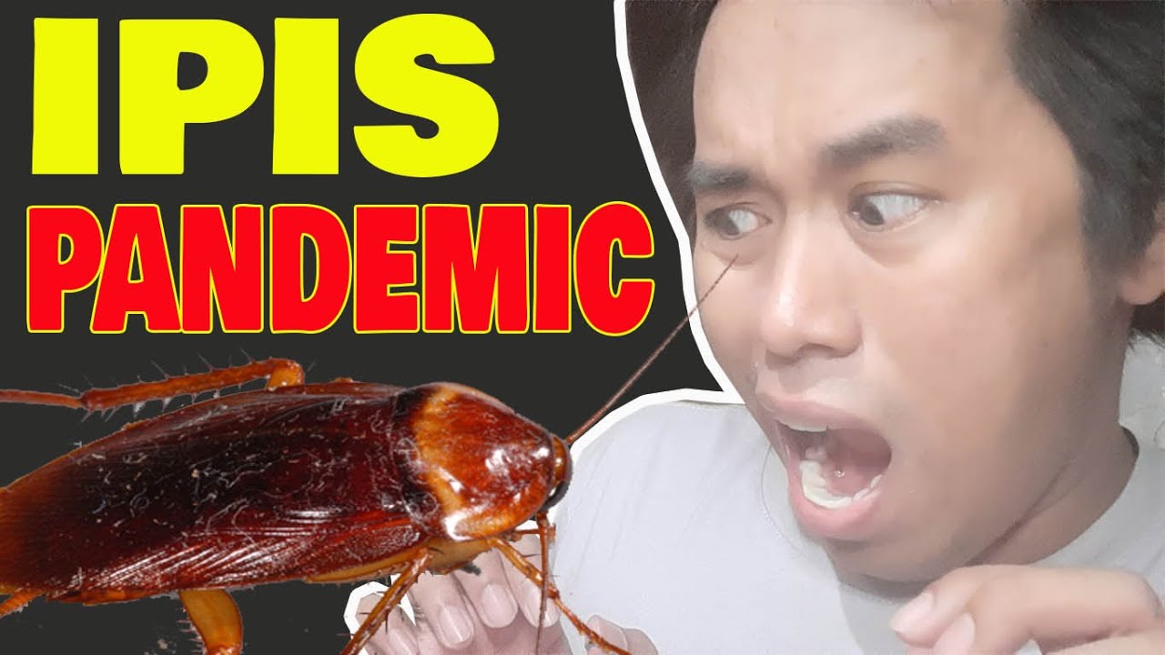 IPIS PANDEMIC | BAKIT NGA BA MAY IPIS? - YouTube