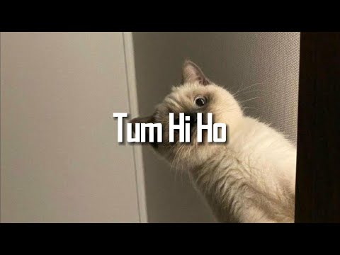 tum hi ho (sped up)