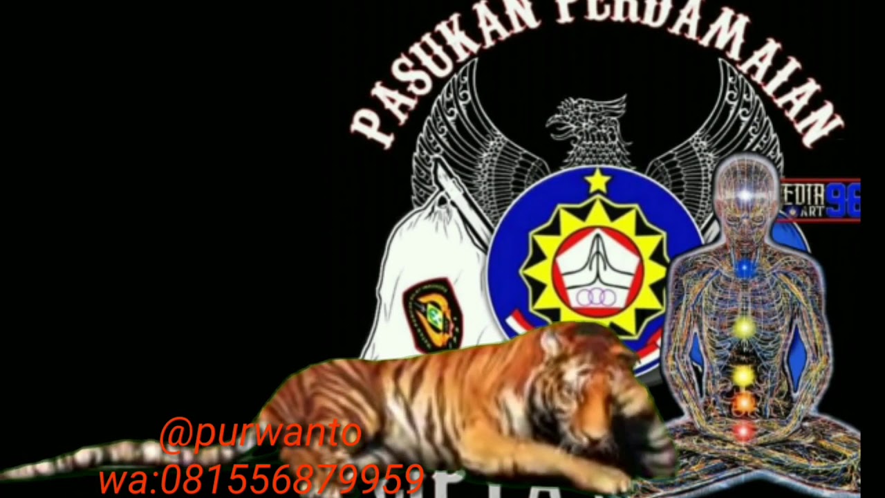 Cipta sejati - YouTube