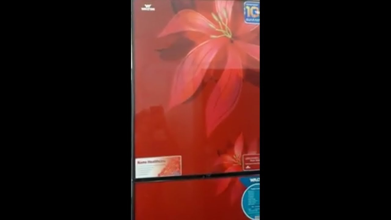 new walton freeze 2018 model ||LN ATD|| - YouTube