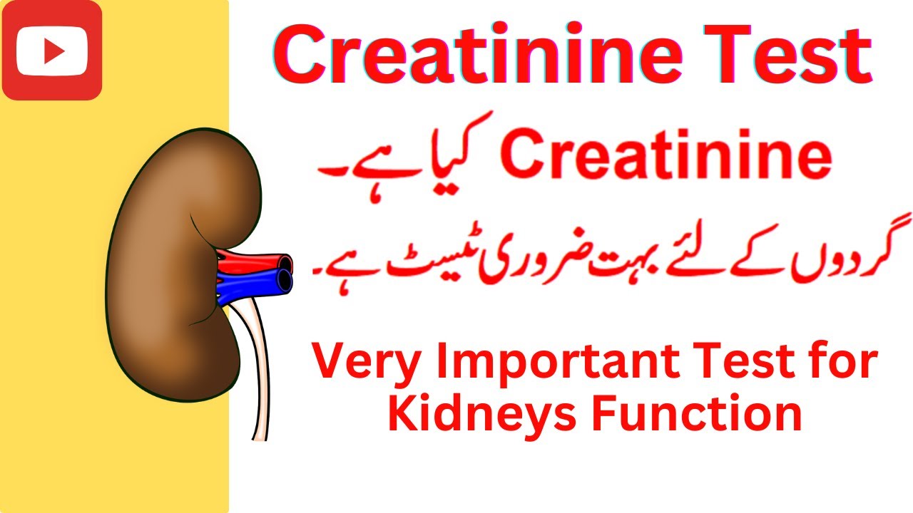 creatinine test kya hai, normal range - YouTube
