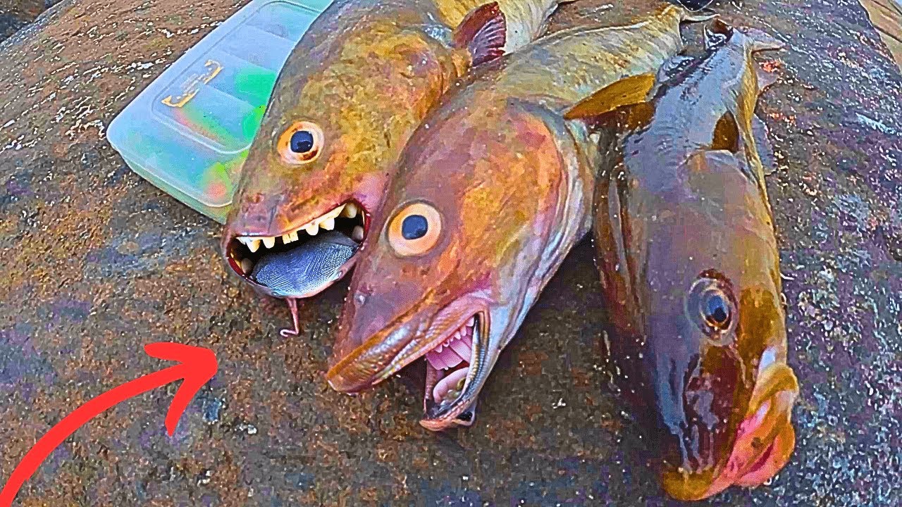 This is Unbelievable! I Caught a One-Eyed Fish! Have You Ever Seen ...