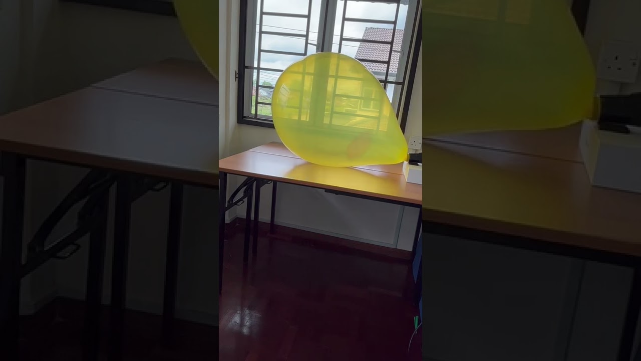 28 inches Yellow Balloon maximum inflation (non pop) - YouTube