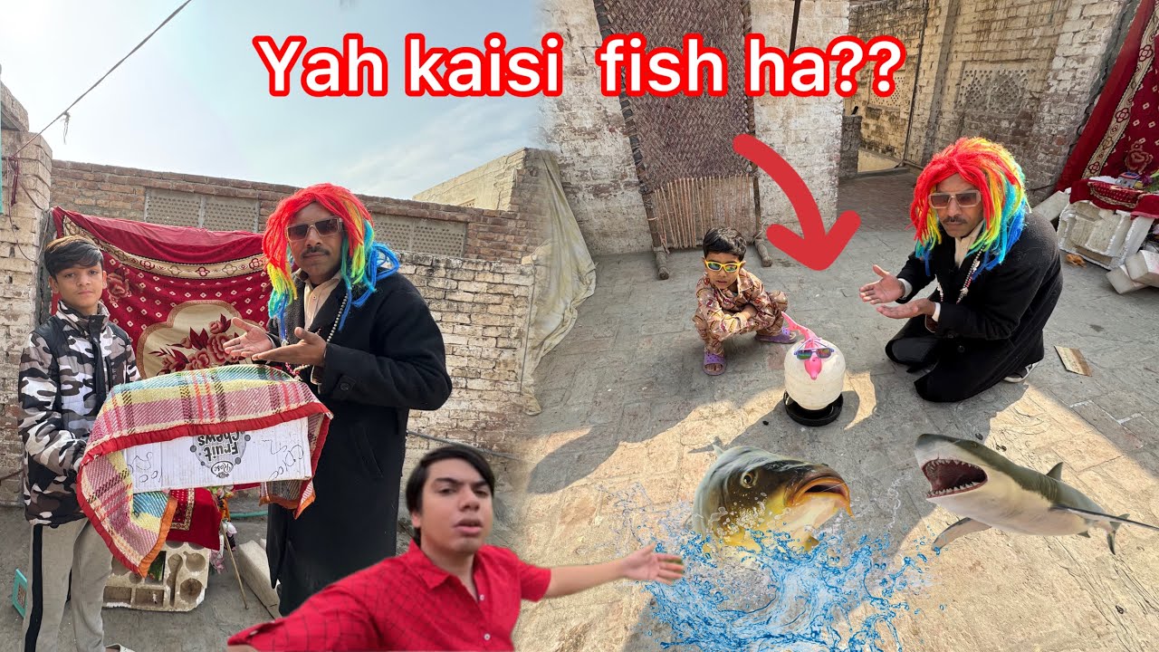 Yah kon si fish a gai??🥰yah kaisa gift 🎁 mil gya??🤔@PetHouse786 - YouTube