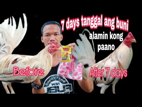 Zero Mite 3 in 1 Shampoo | 1 to 7 days tanggal ang buni - YouTube