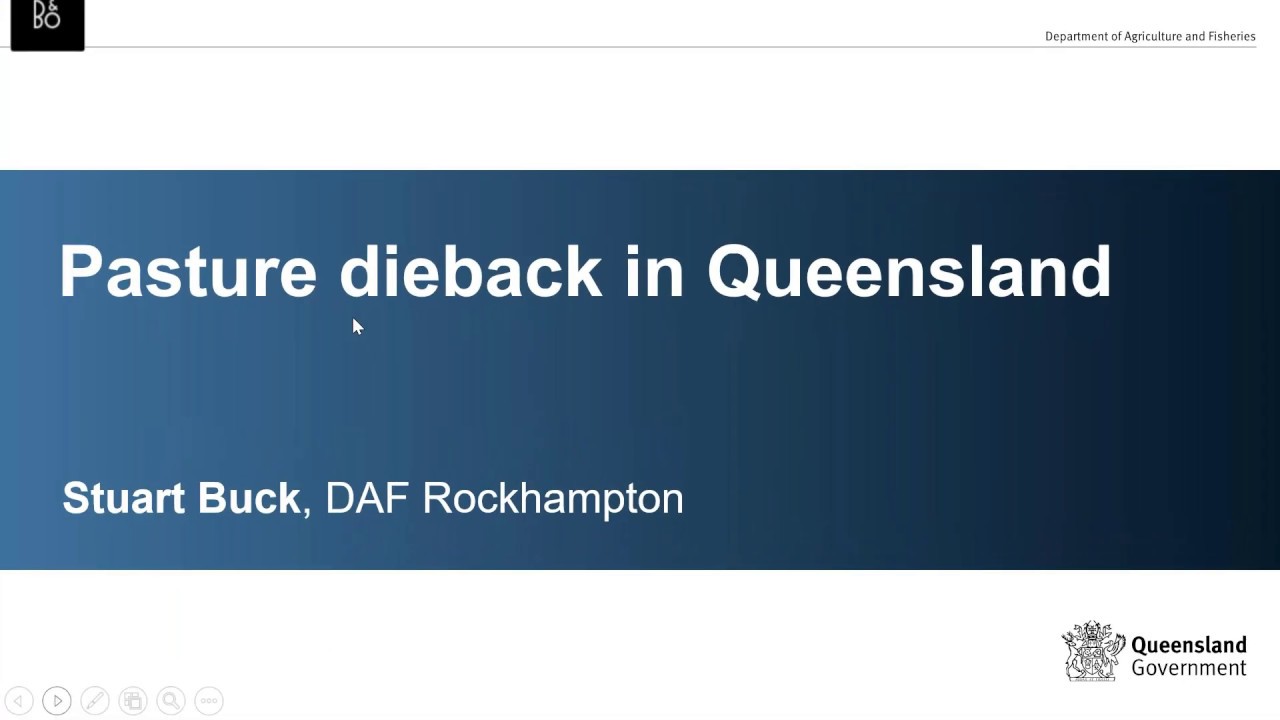 Stuart Buck - Pasture dieback in Queensland - YouTube