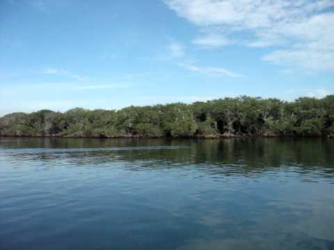 Isla Altamura Angostura Sinaloa Видео - volumeallabout