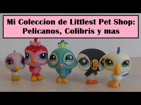 Mi Coleccion de Littlest Pet Shop- LPS Collection - Pelicanos y ...