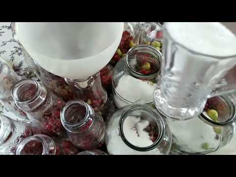 Qışa hazırlıq, Çox dadlı kompotlar, подготовка на зиму, Домашние компоты