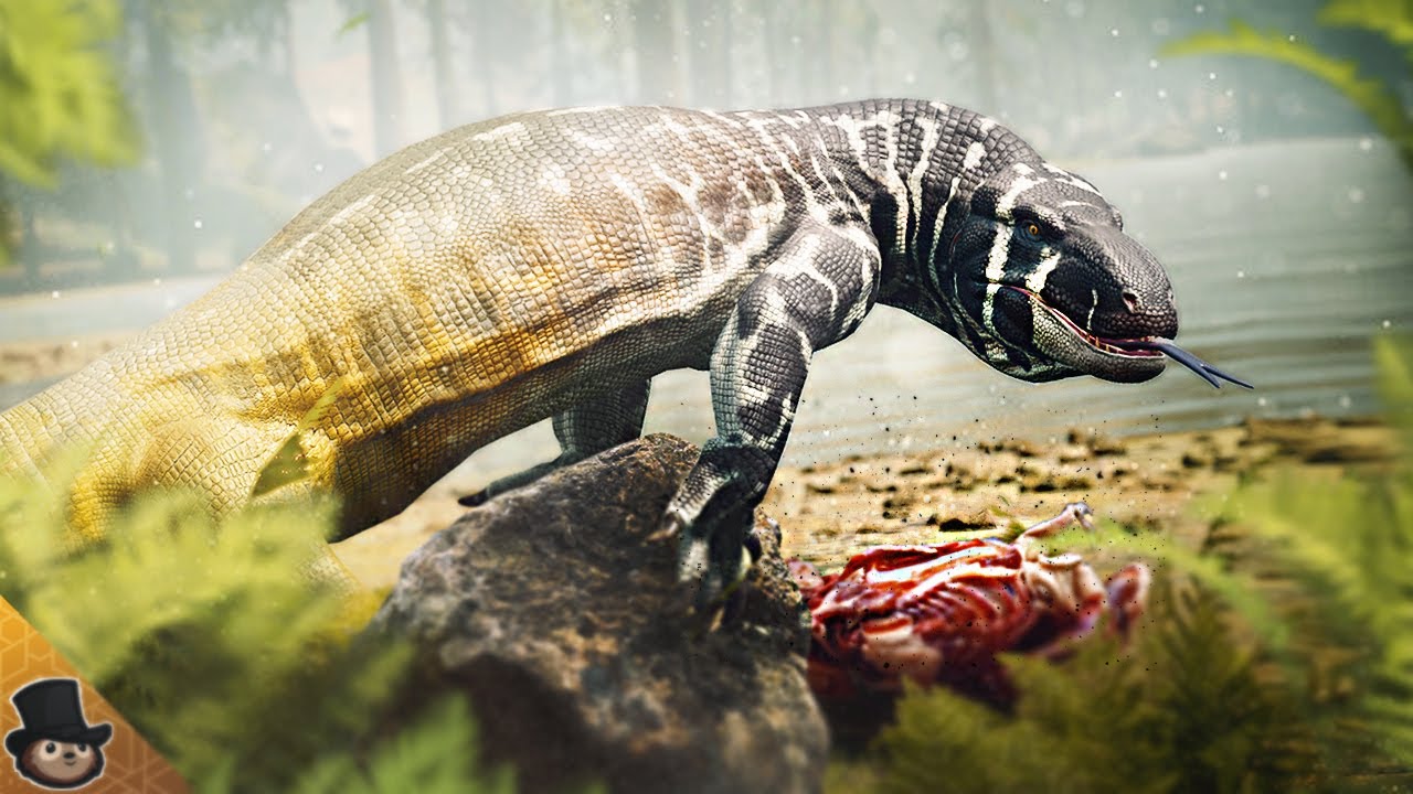 Megalania Youtube