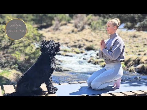 5min Yoga Stretch | Reset Your Body & Mind - YouTube