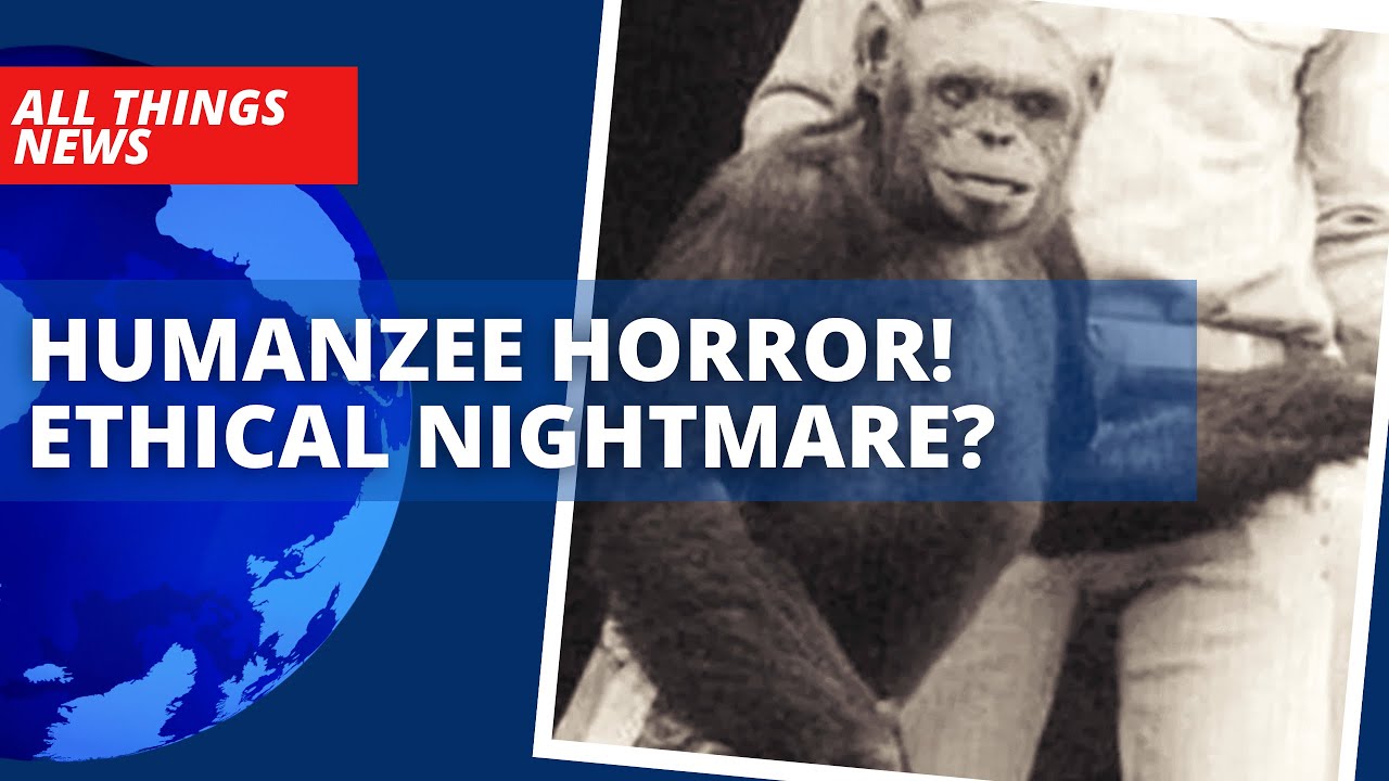 Humanzee: The Lab-Grown Human Chimpanzee Hybrid Euthanized for Ethical ...