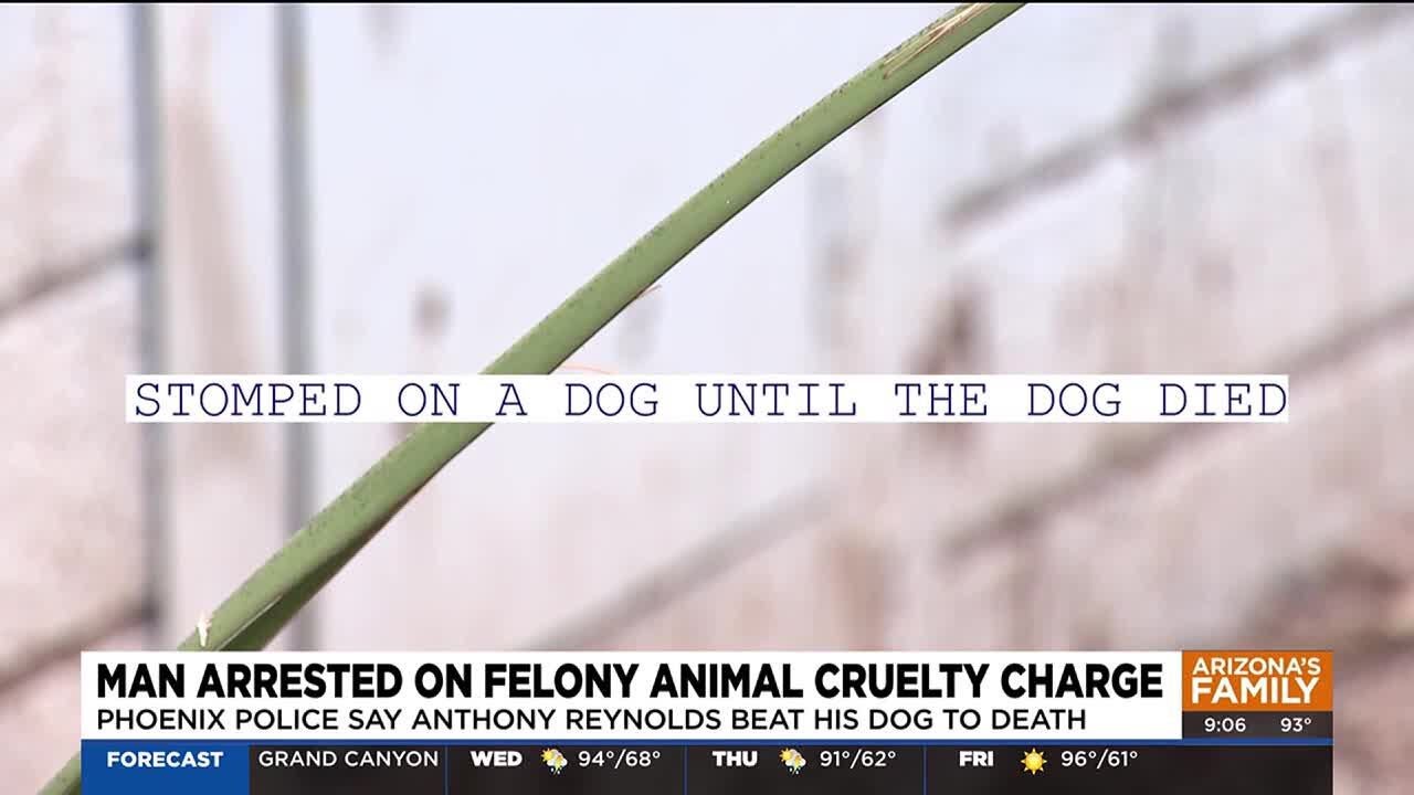 Phoenix man arrested on felony animal cruelty charge - YouTube