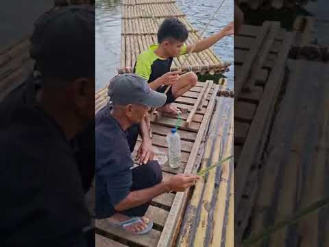Mancing dlu gaes - YouTube