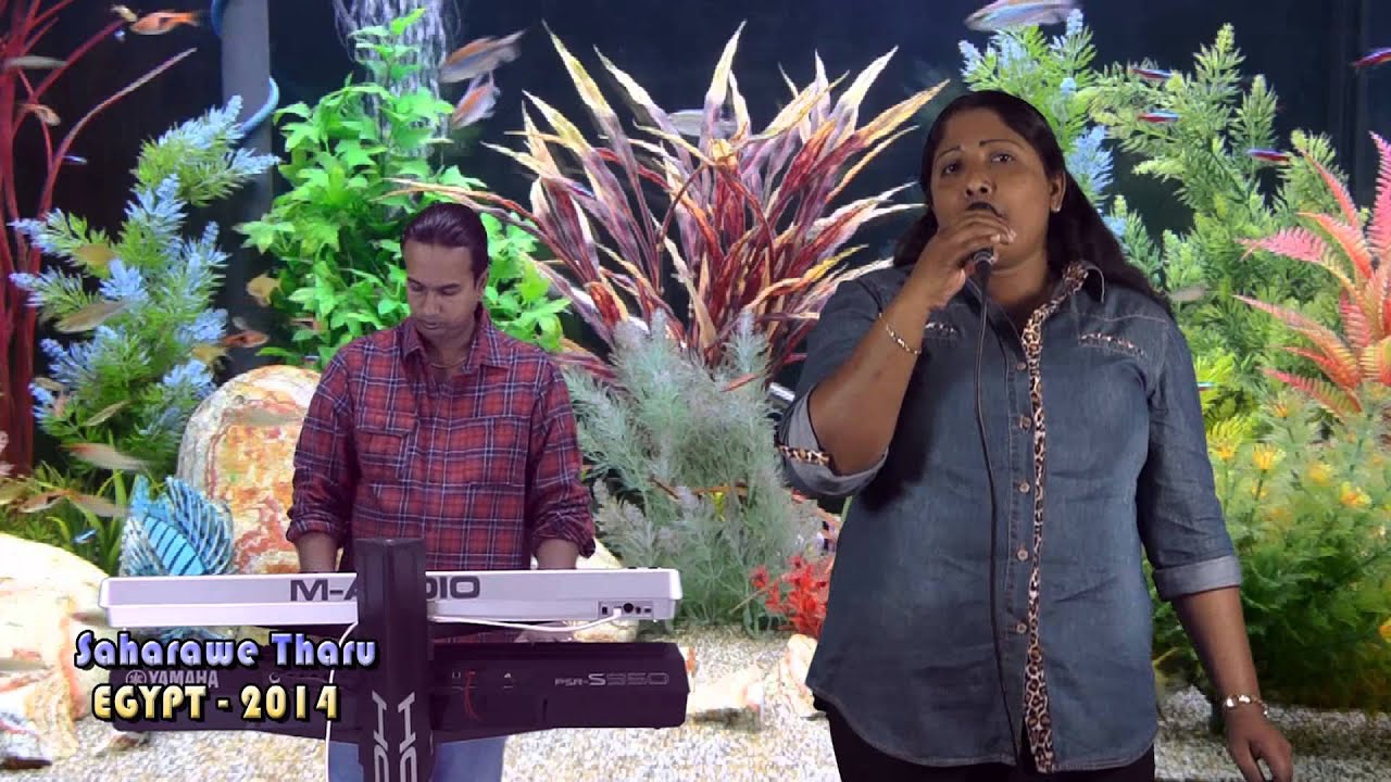 NISANSALA SADAK BY LAKSHIKA PRIYADHARSHANI SAHARAWE THARU EGYPT 2014 ...