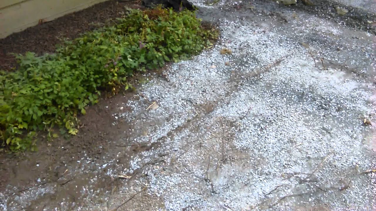 Concrete Prepping in Delta CGC - YouTube