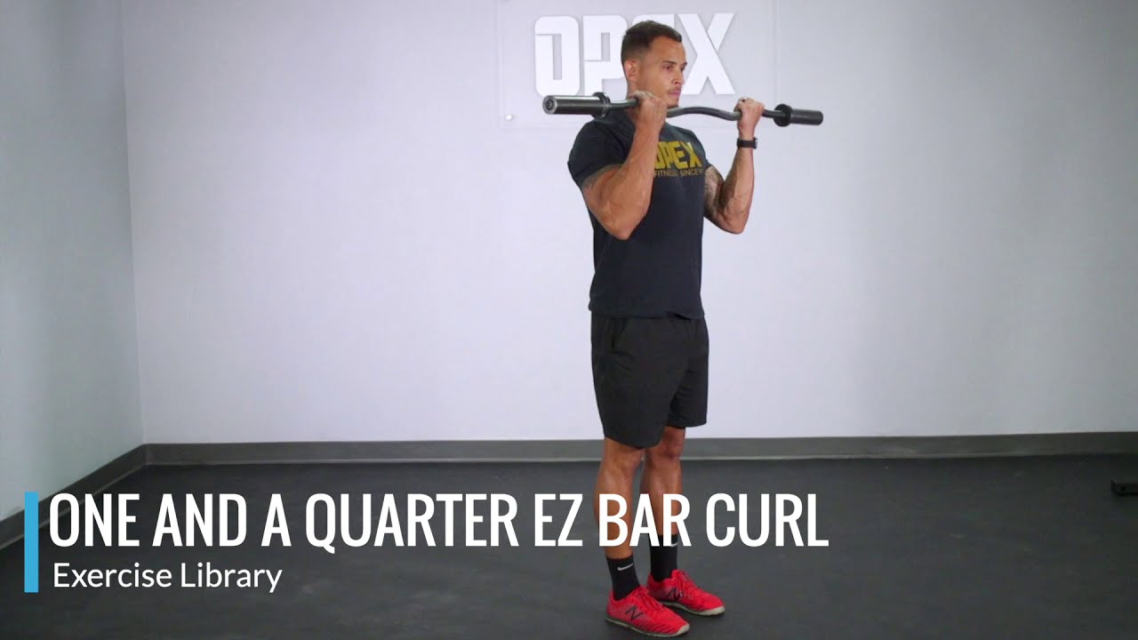 One and a Quarter EZ Bar Curl - OPEX Exercise Library - YouTube