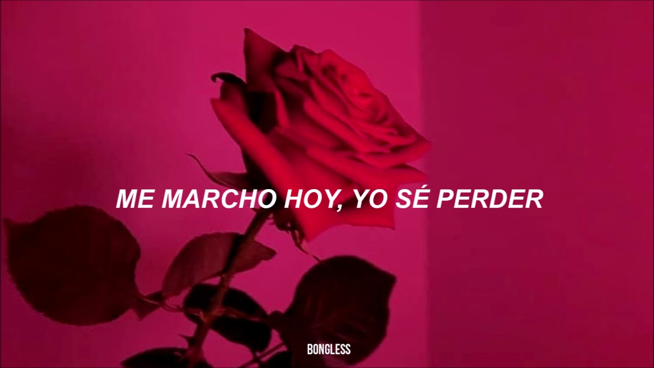 Selena Quintanilla -Como la flor | Letra - YouTube