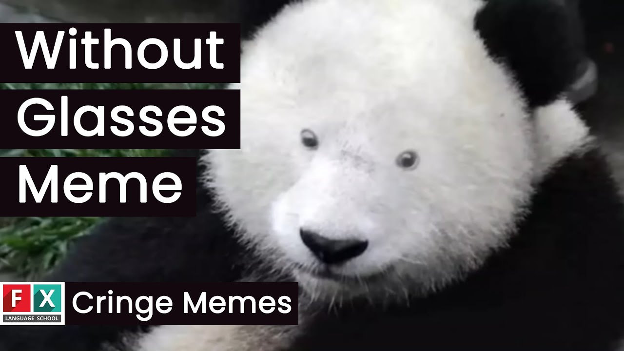 Your Friend Without Glasses Meme - YouTube