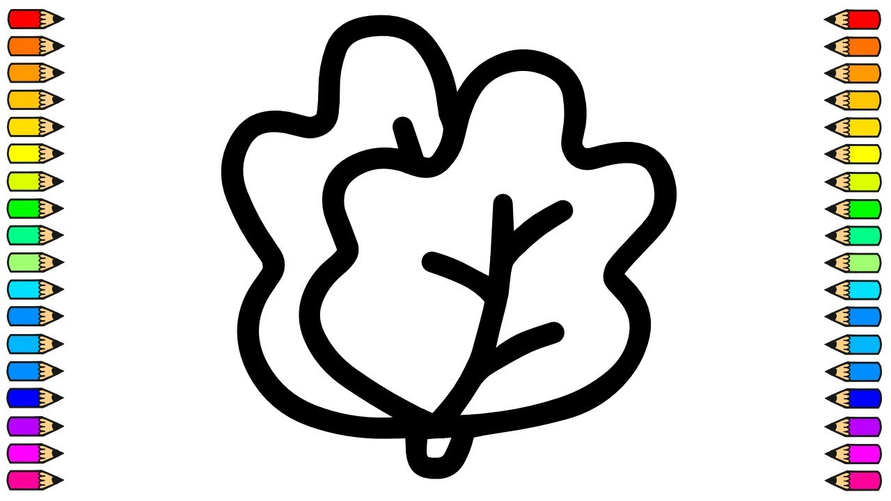 Cómo dibujar una LECHUGA / Dibujo de LECHUGA paso a paso / Dibujos para ...
