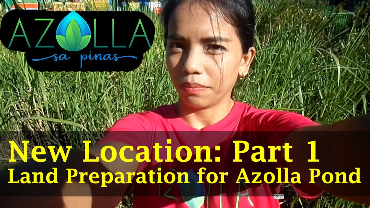 Step 1 of 3 ng Pag gawa ng Azolla Pond ( Land Preparation for Azolla ...